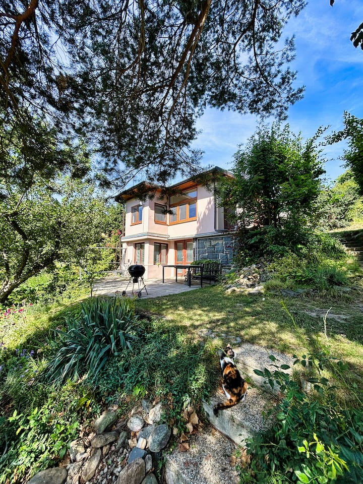 Chata Pod Borovicí - Czech Republic