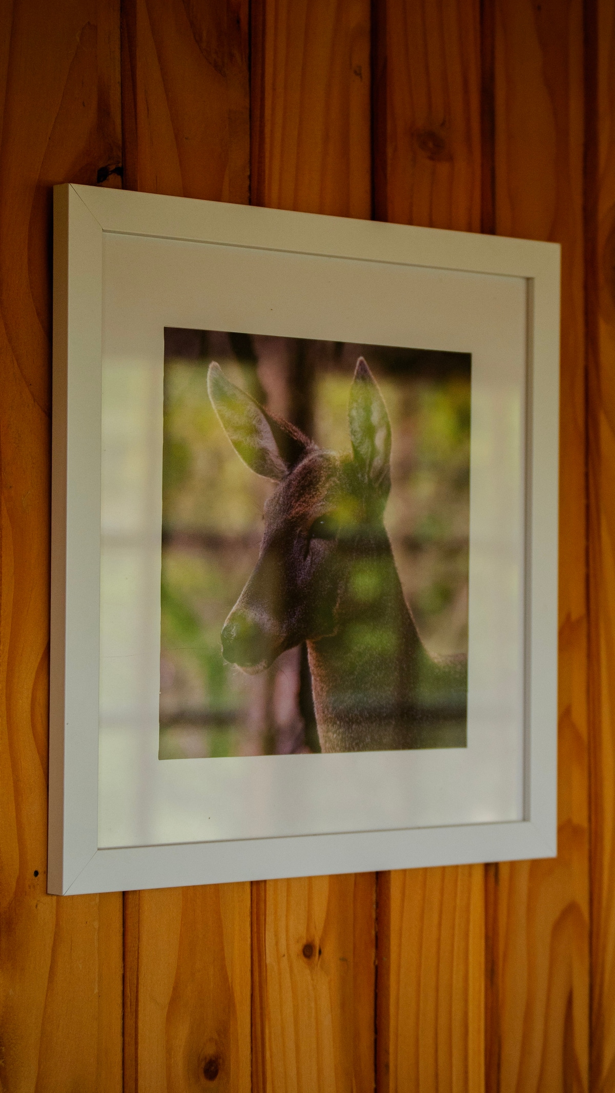 La Otra Orilla Hostel - Guesthouses for Rent in Cochrane, Aysén, Chile ...