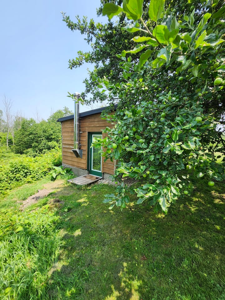 Bogie's Bunkie - Goderich