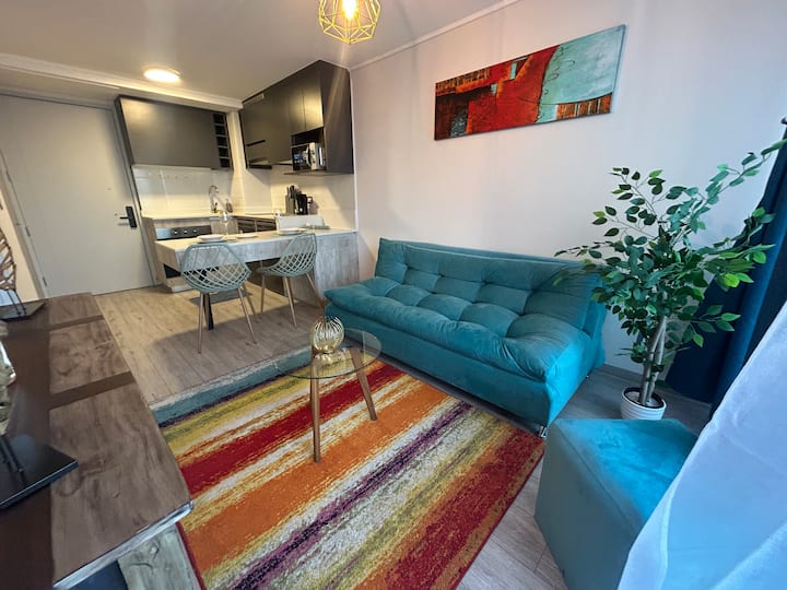 Cómodo Y Limpio Departamento Equipado - Santiago, Şili