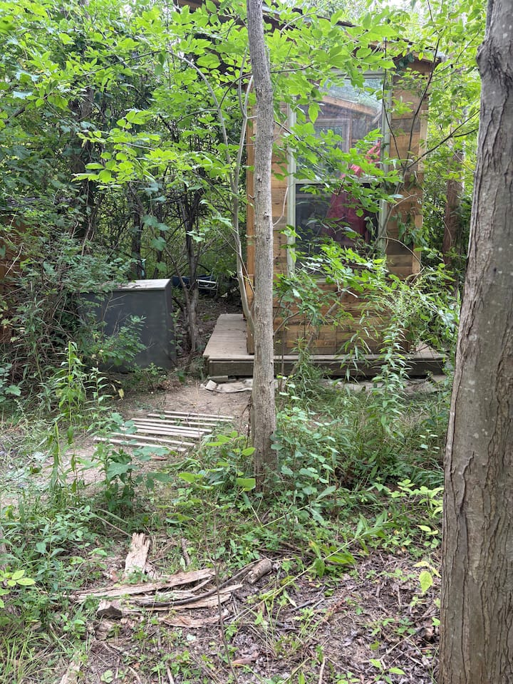 The Most Beautiful Season! - Angola on the Lake, NY