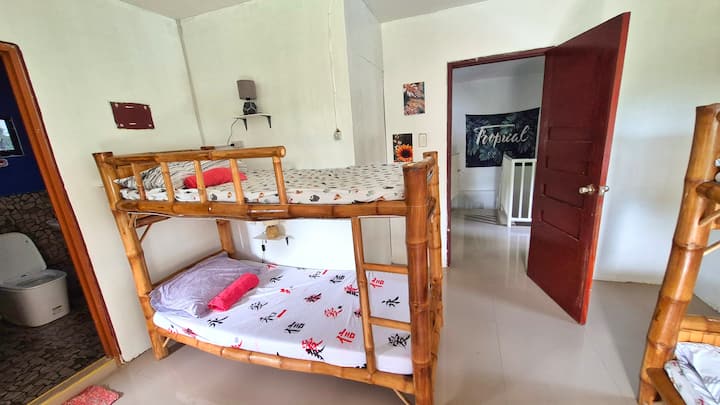 Budget-friendly Mixed Dorm W/ac - Moalboal