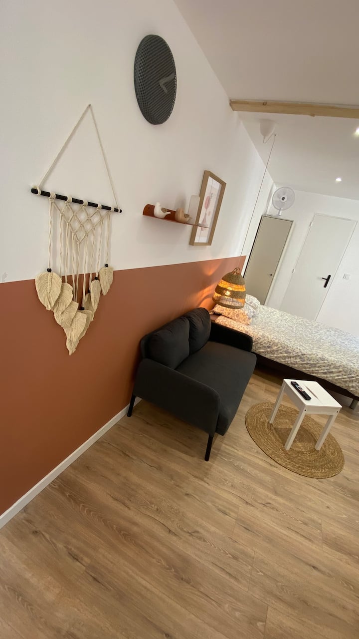 Studio "Verge D'or" 3 - Toulouse