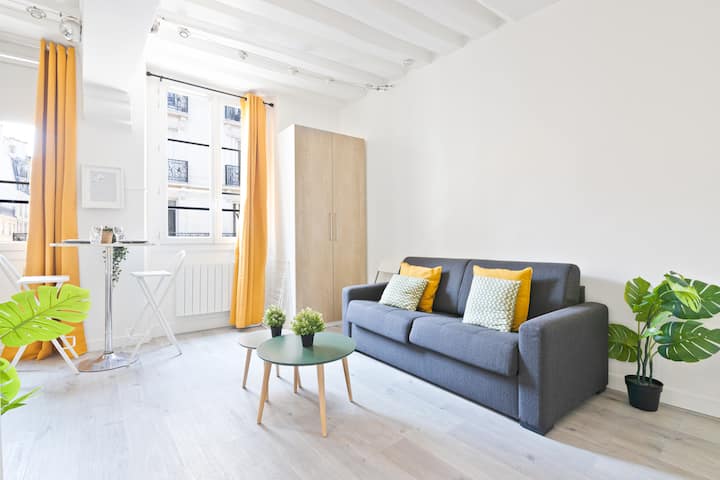 Luxurious Studio Apartment-2p-pantheon Netflix - Paris