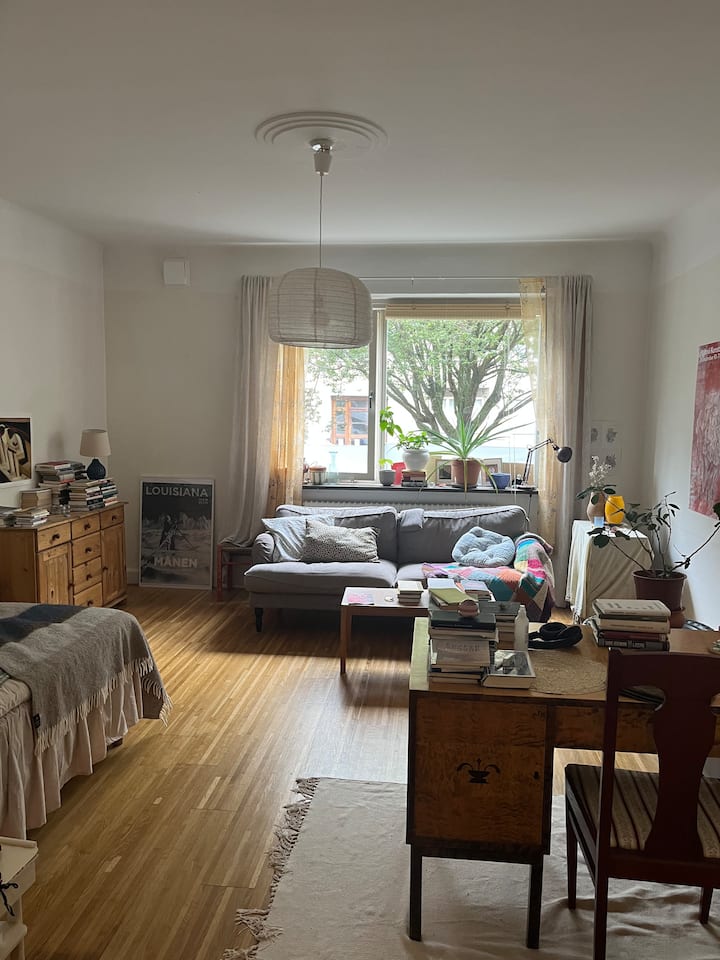 Rymlig Etta Vid Möllan Hyrs Ut 3 V. I September - Malmö