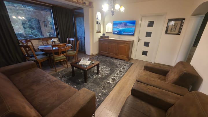 Oasis Apartment - Târgu Mureș