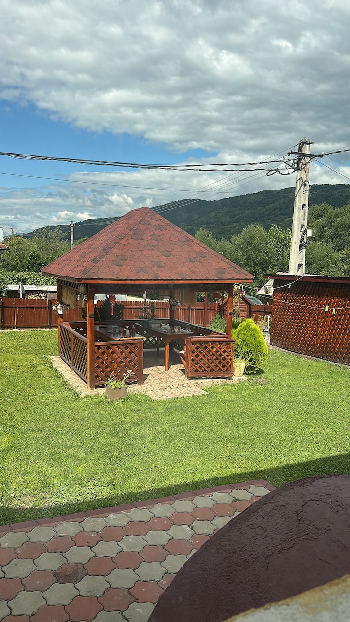 Cameră Sau Toată Casa ! Munte Relaxare - Transilvania