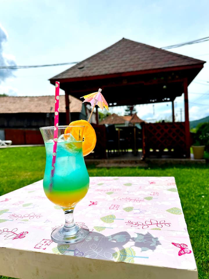 Cameră Casă La Munte Perisani ! Relaxare - Brezoi