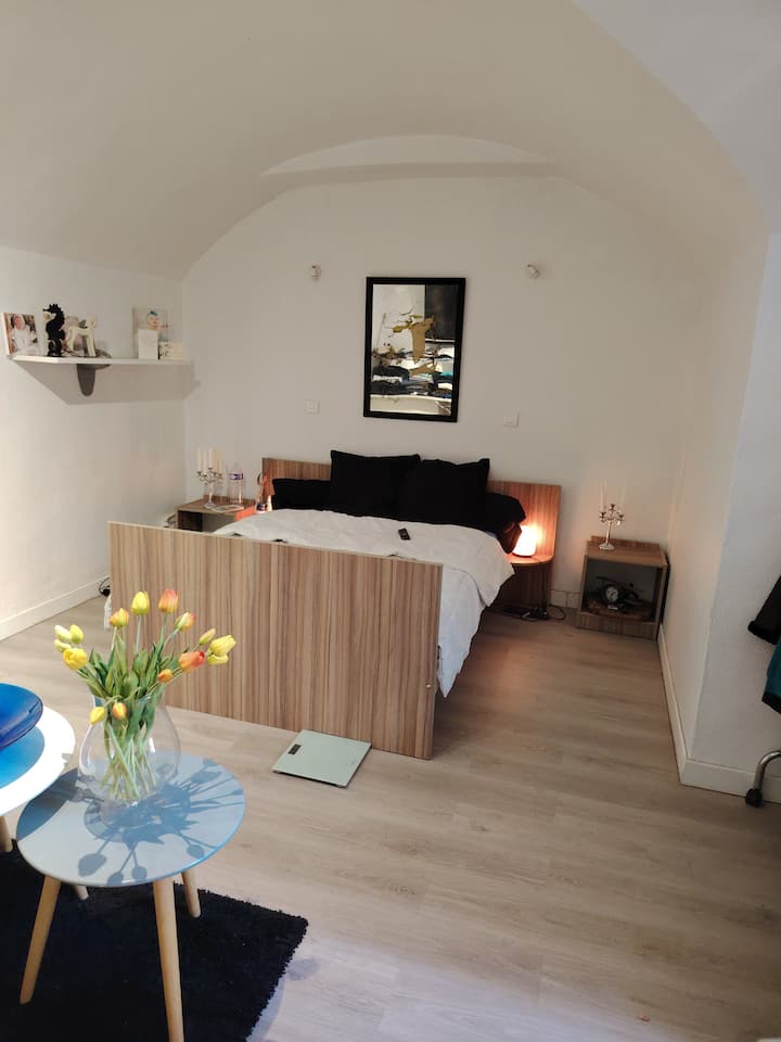 Chambre Dans Appartement à Partager + Jardin - Marseille