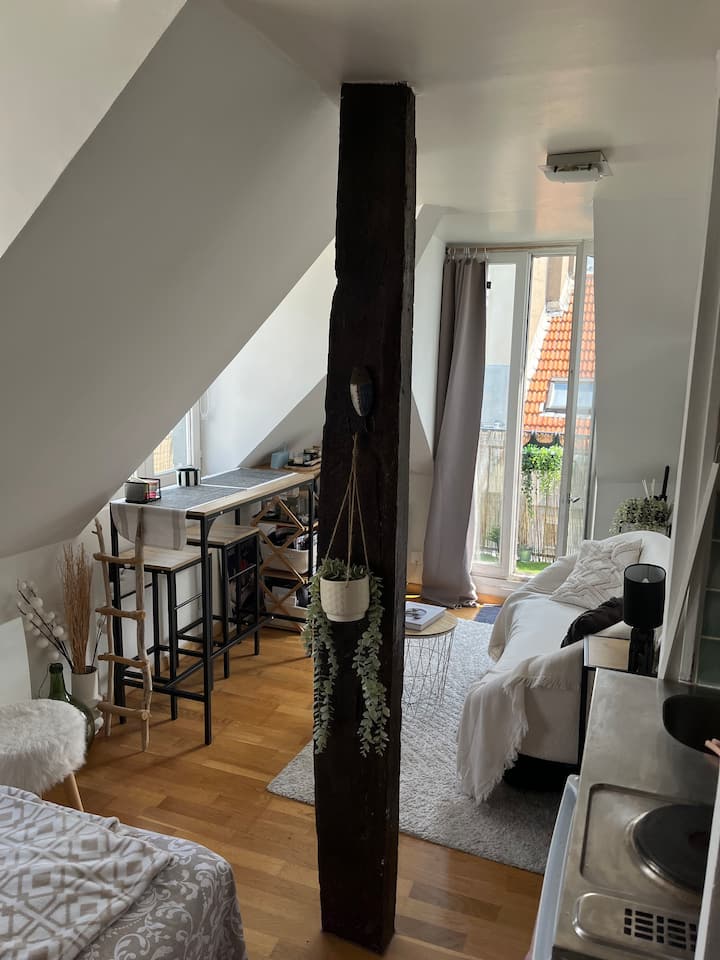 Superbe Logement Plein Centre Avec Balcon - Paris 5e Arrondissement