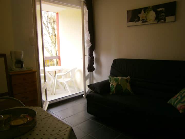 Agréable Studio Cure/vac/travail - Lamalou-les-Bains