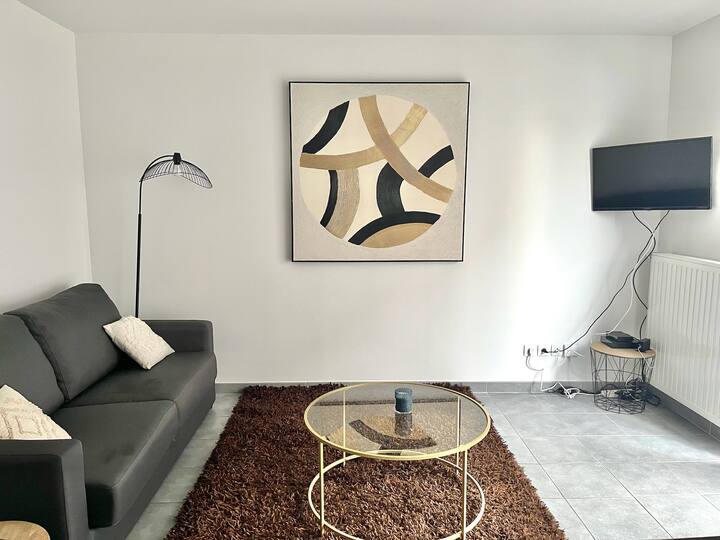 M12*marquer*joli Studio Central Avec Garage - Annemasse