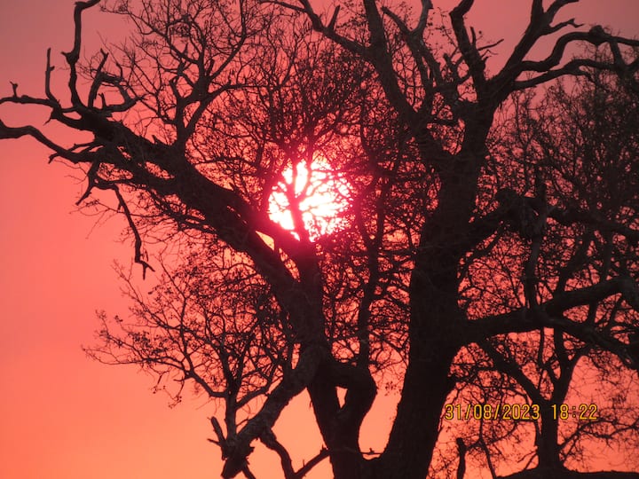 Hyena Chalet - Marloth Park