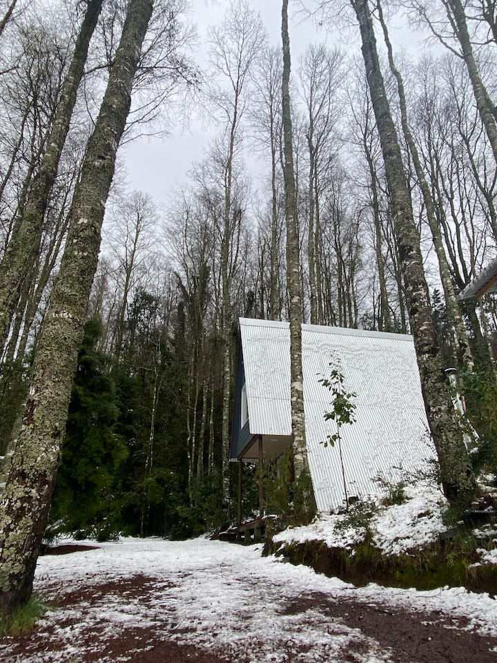 Cabaña En Bosque Tinaja Privada - Villarrica