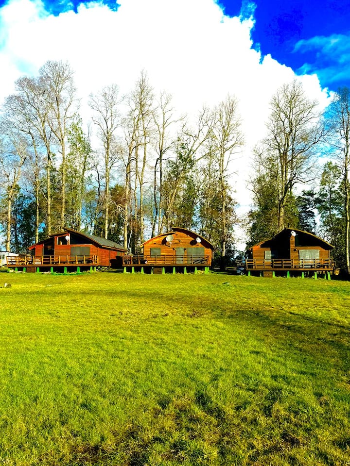 Acogedora Cabaña En Panguipulli - Panguipulli