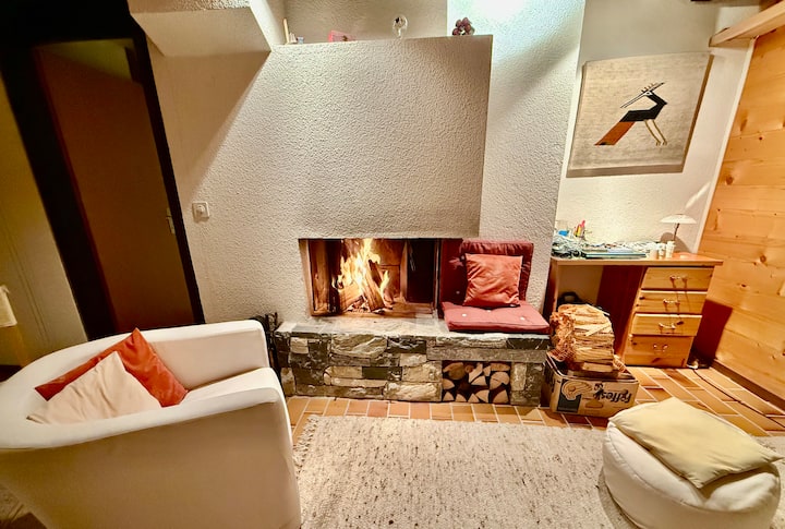 21.8s Bel Appartement / 4pax - Gryon