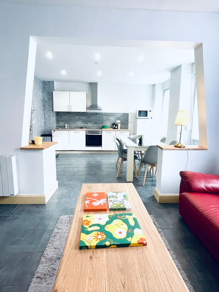 Cosy 2p Terrasse – Gare/aéroport - ibis Mulhouse Ile Napoleon