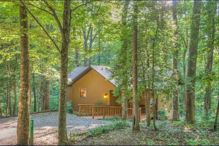 Holly Cabin • Creekside Calm - Blairsville, GA