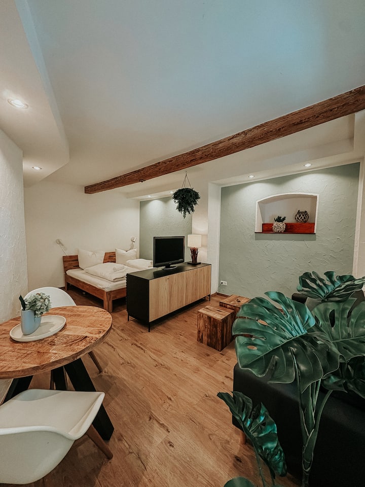 Abindiefewo - Neckarzimmer - Bad Friedrichshall