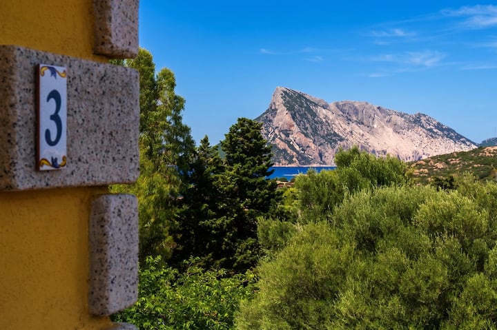 Appartamento Con Piscina 8 - San Teodoro
