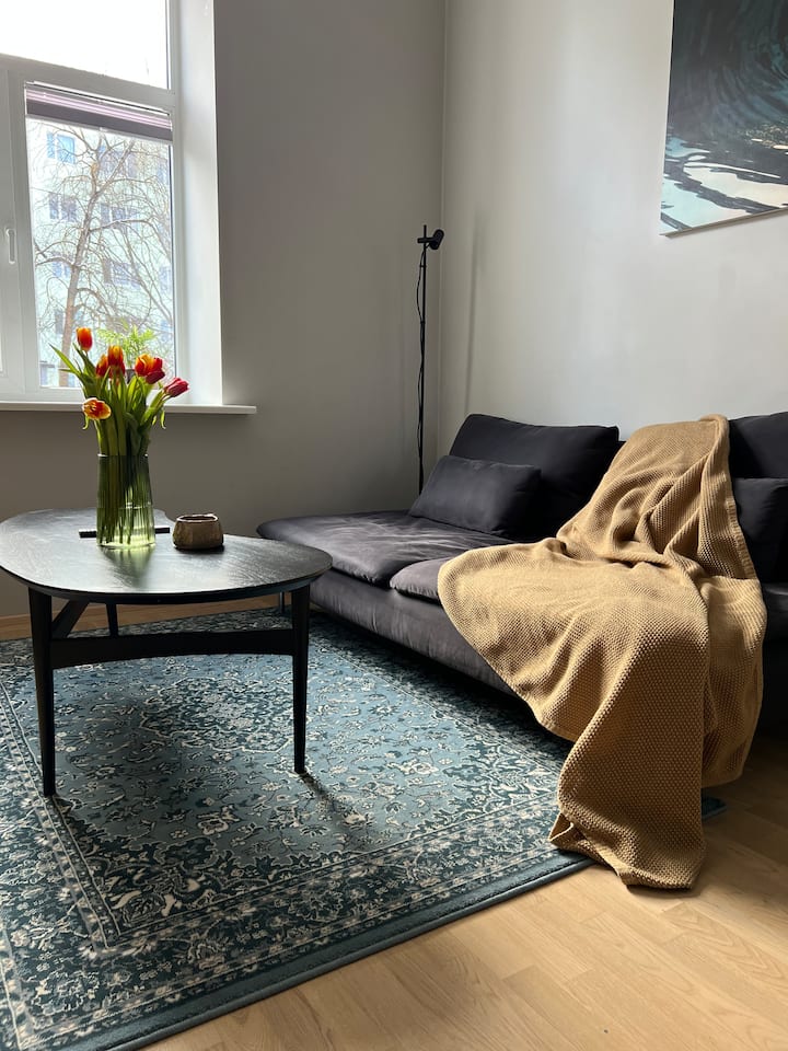 Quiet Place Near Kalamaja - 塔林