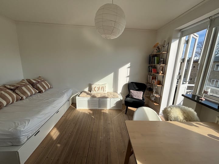 1 Room Apartment In Copenhagen - Copenhagen Airport (CPH)