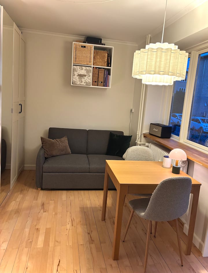Cozy Apartment - Close To Everything - Copenhague