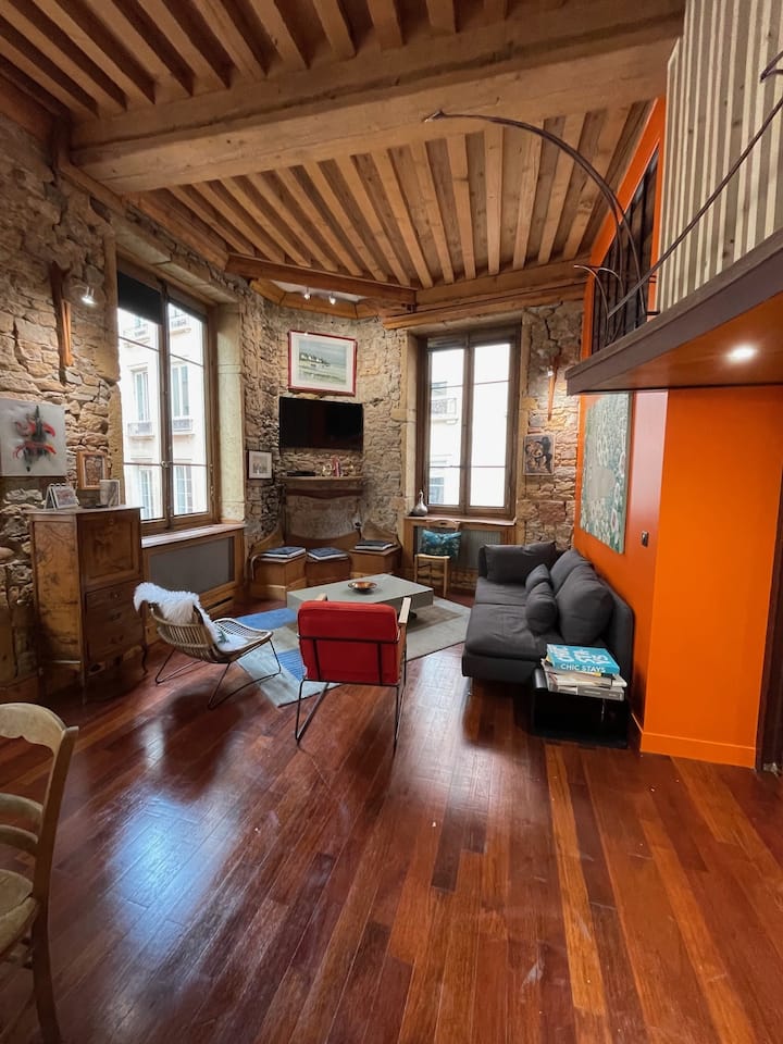 Appart Typique Lyonnais/parking - Lyon