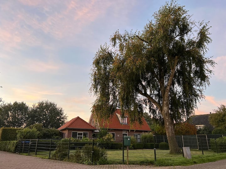 Overnachten Veluwe Bij Paarden - Epe
