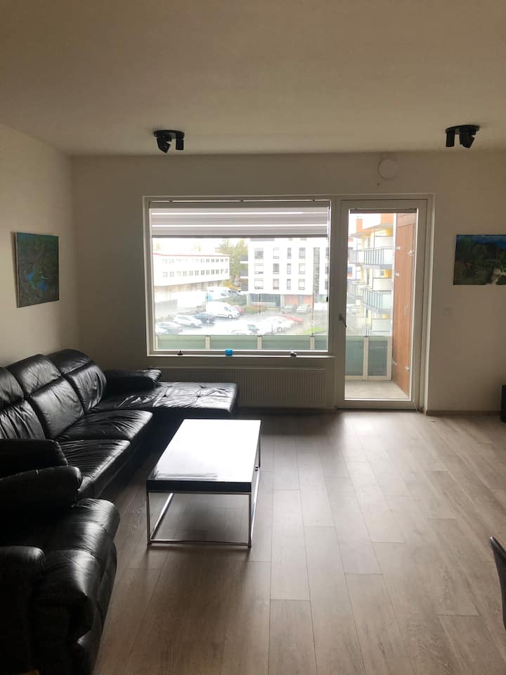 Nice And Comfortable Apartment - Reykjavik