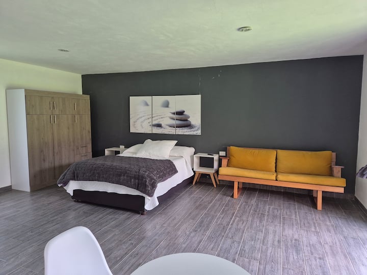 Cineraria - San Pedro Cholula