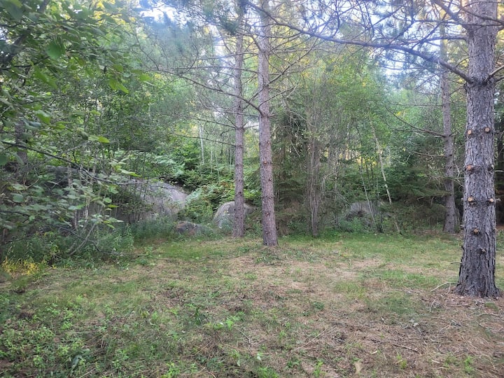 Primitive Forest Campsite - Sudbury