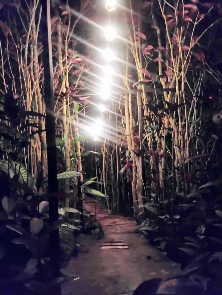 Tropical Hideaway, With Jacuzzi! - Corozal