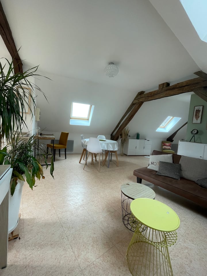 Appartement Centre Ville - Cosne-Cours-sur-Loire