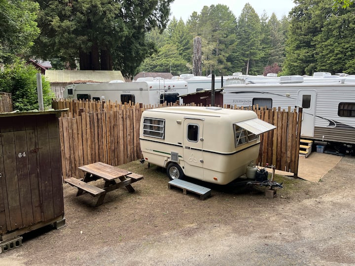 Vintage Trillium Camper - Trinidad, CA