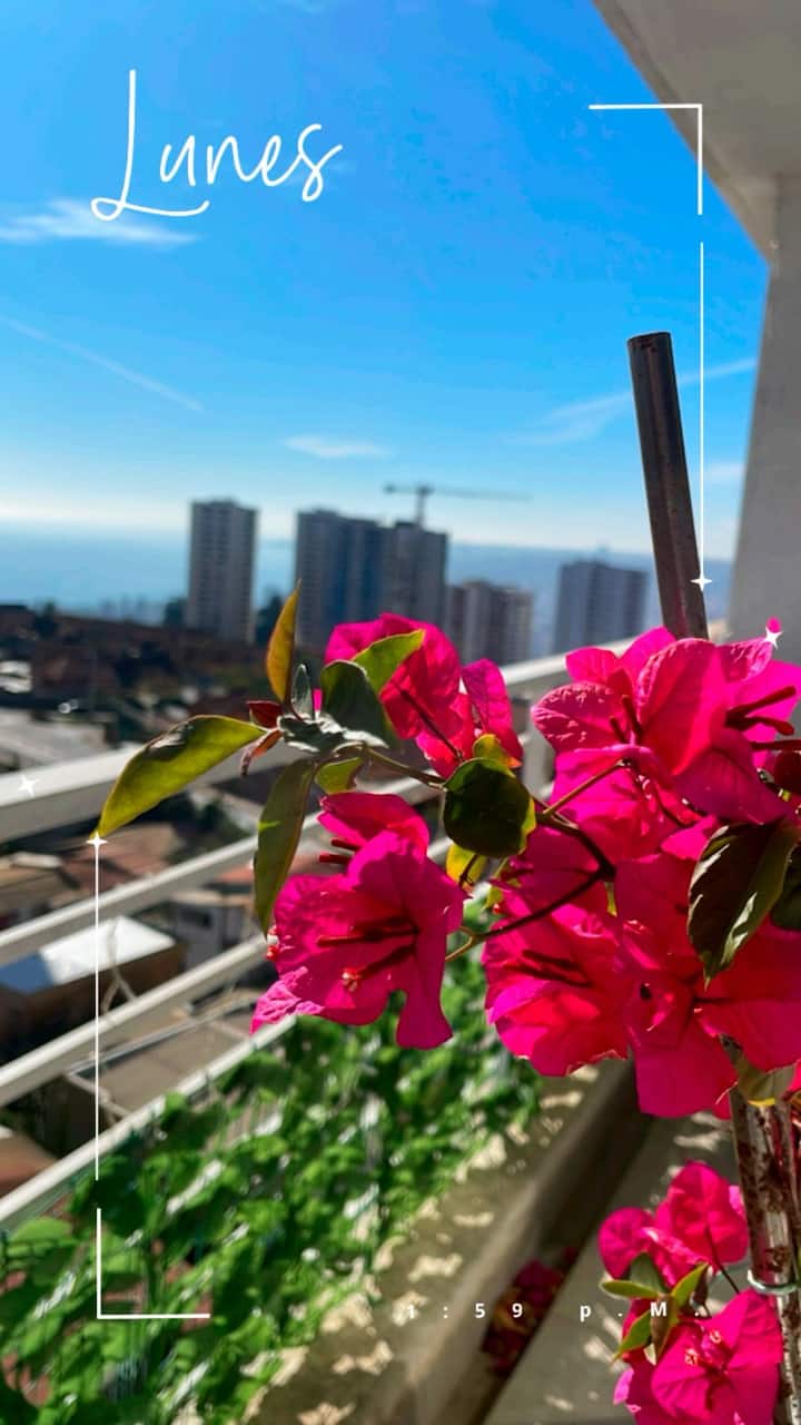 Hermoso Departamento Con Espectacular Vista Al Mar - 비냐델마르