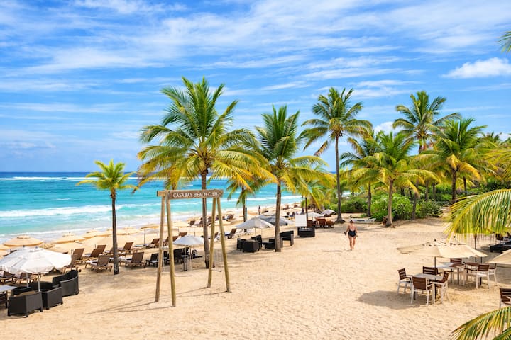 1br Coral Bay | Junto Al Hard Rock + Playa - Punta Cana