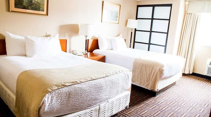 2 Queen Beds In Hotel - Medicine Hat