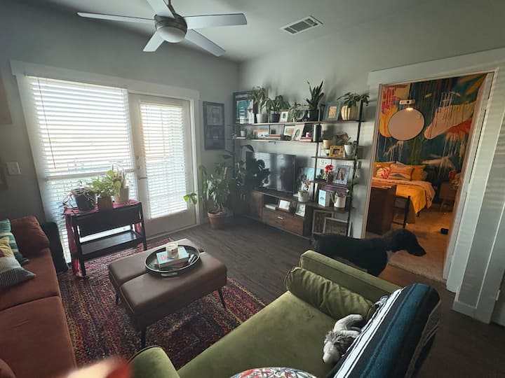 Cute Modern Apartment - Frisco, TX