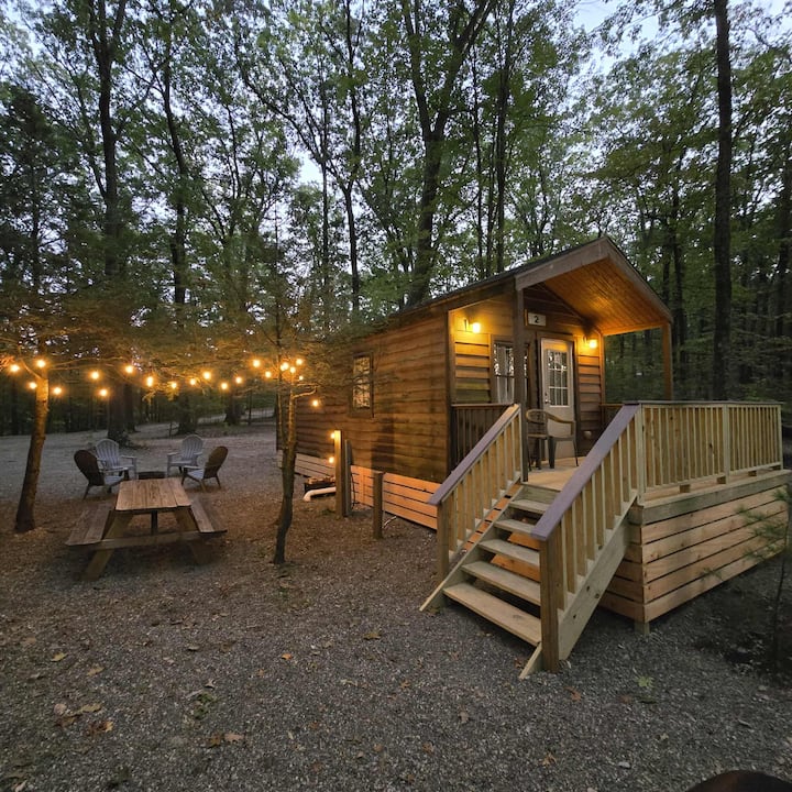 Cabin #2 In Elysburg
5 Minute Drive To Knoebels - Satellite, Elysburg