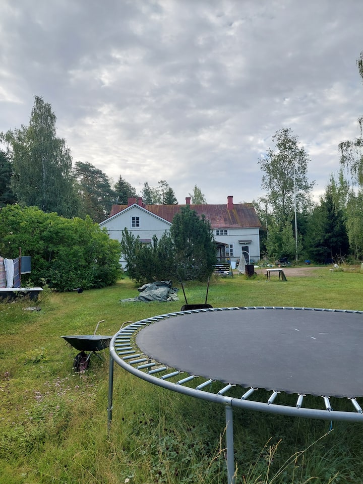 Liikola "Old School" - Hartola