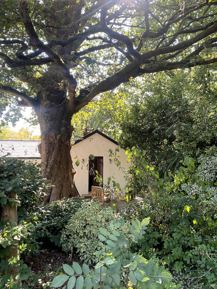Under The Oak - A Cosy Forest Retreat. - Usk