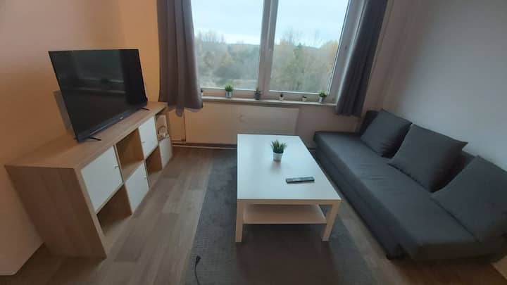 Monteurwohnung In Schwerin - Schwerin