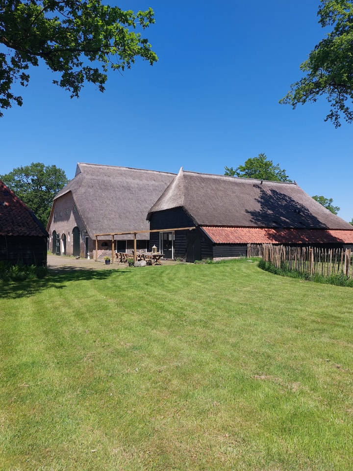 Sfeervolle Hoeve, Weids Uitzicht - Drenthe