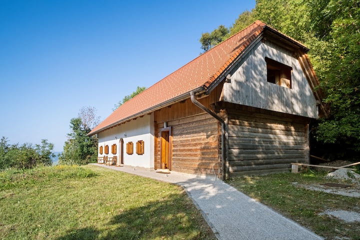 Old Castle Lodge - Kamnik