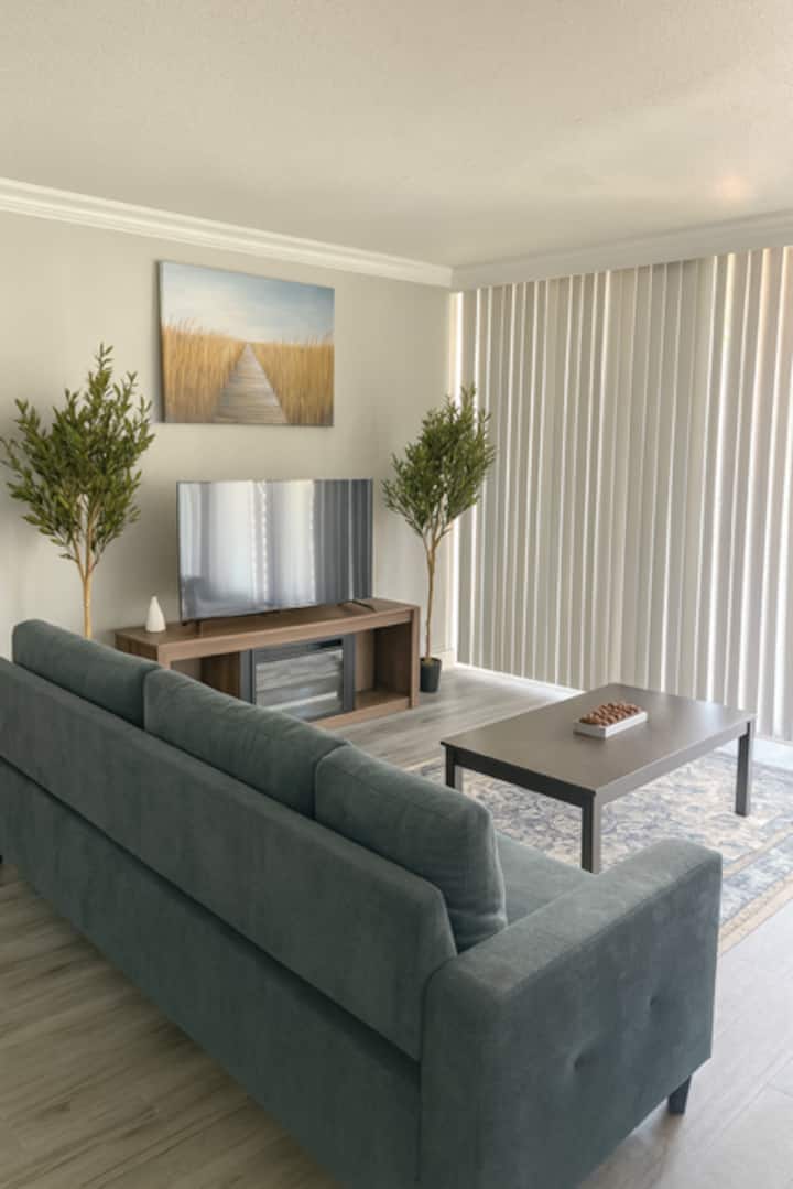 Large Spacious Furnished 2bd/2bth. #3004 - Houston