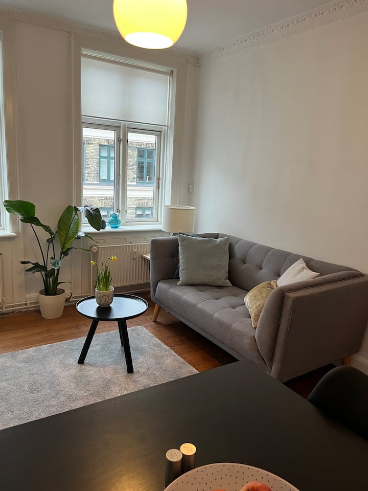 Cozy Apartment Near Meatpacking District - Copenhagen