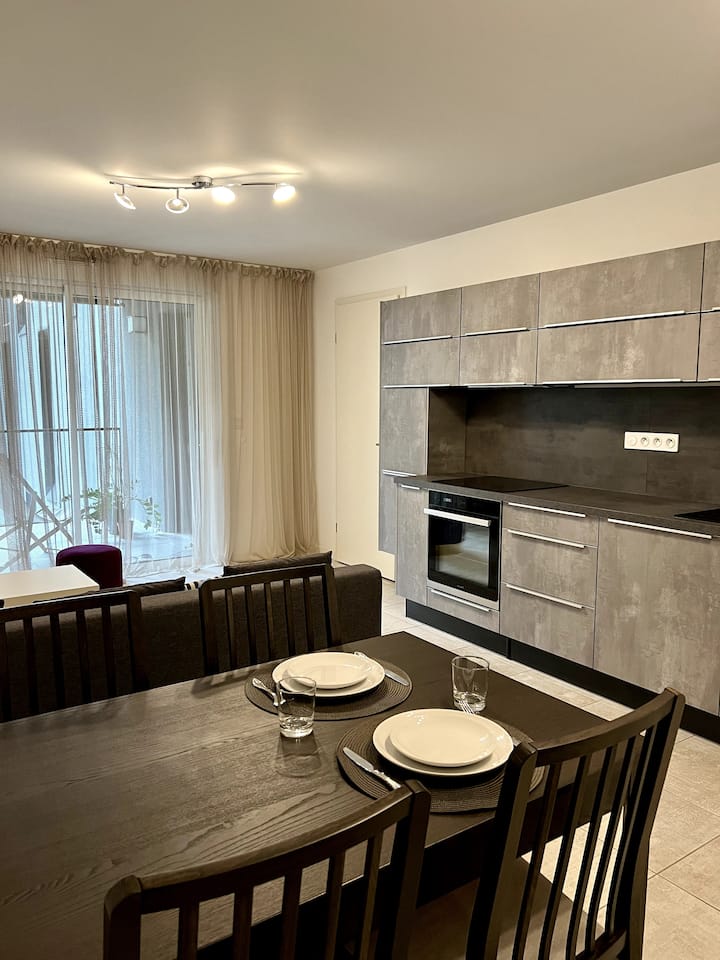 Flat Moderne | Parlement Eu & Parc D'expos - Strasbourg