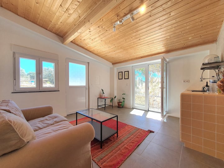 New Apt In Family Farm On The Ruta Vicentina - Odemira