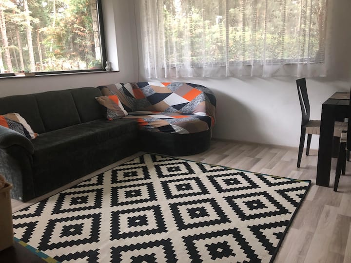 Small Apartment In The Mountain - Govedartsi